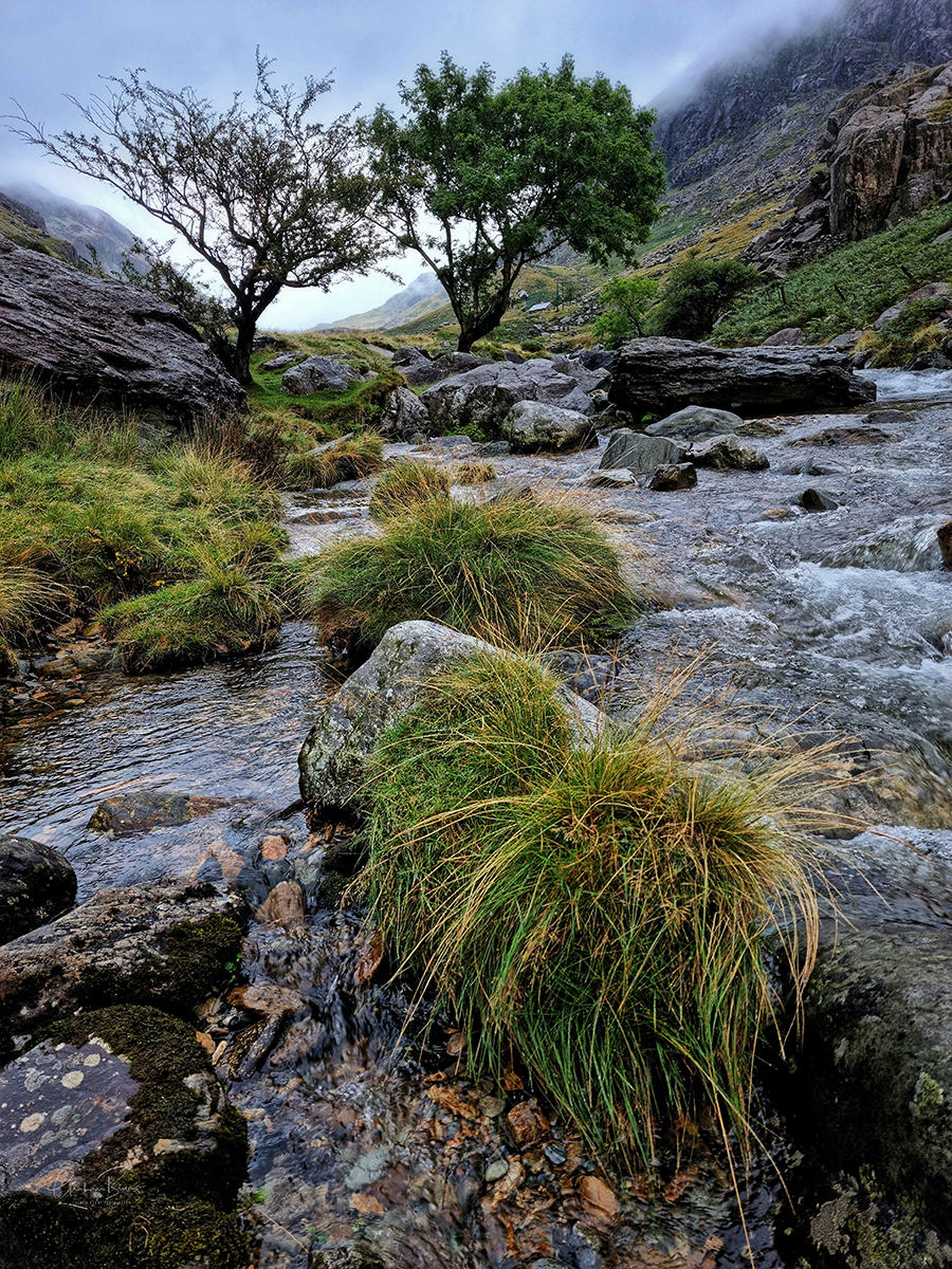 Pen-y-Pass Trees - Snowdonia, Wales - Graham Binns Photography